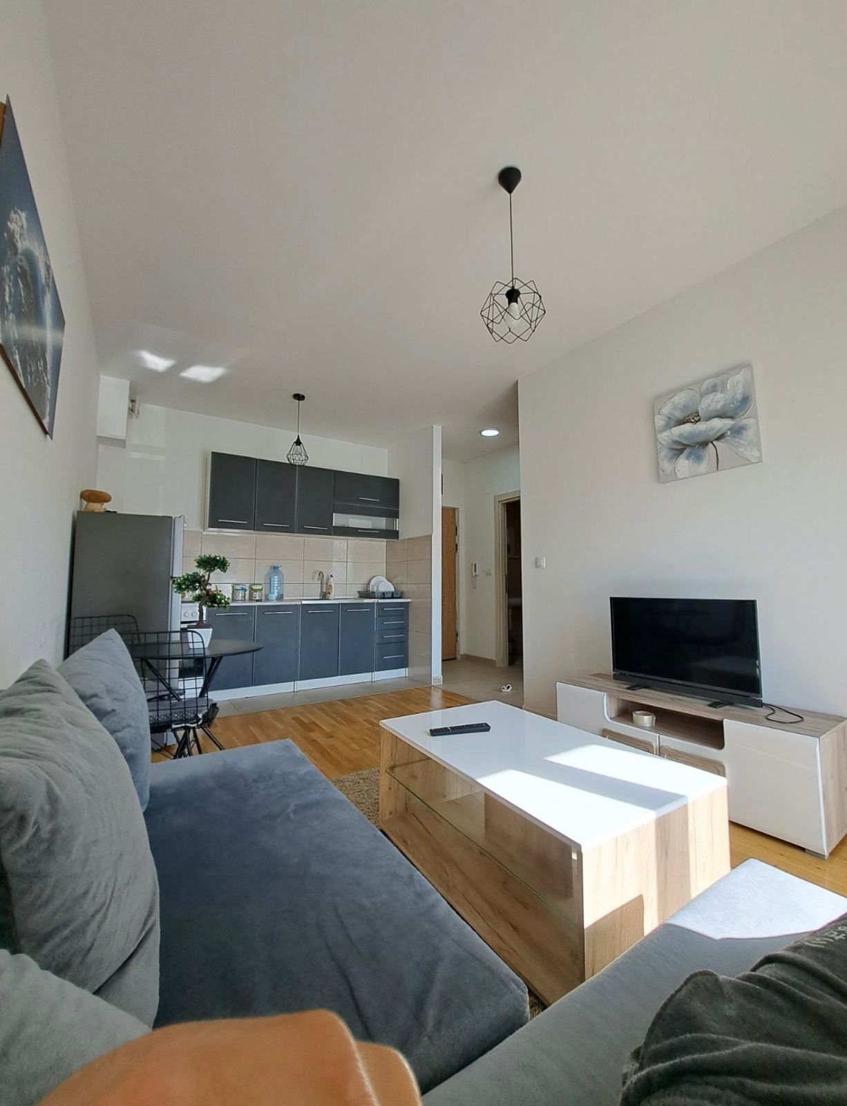 One-Bedroom Apartment For Rent In Zabjelo - Violet Investment