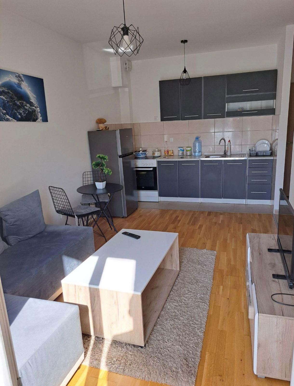 One-Bedroom Apartment For Rent In Zabjelo - Violet Investment